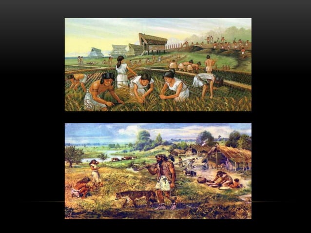 INTRODUCTION IN AGRICULTURE IN THE PHILIPPINES | PPT