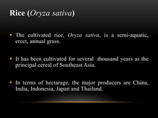 INTRODUCTION IN AGRICULTURE IN THE PHILIPPINES | PPT