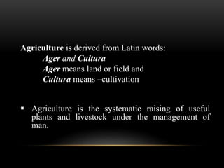 INTRODUCTION IN AGRICULTURE IN THE PHILIPPINES | PPT