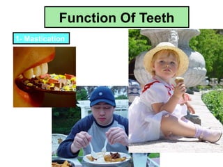 Introduction dental anatomy | PPT