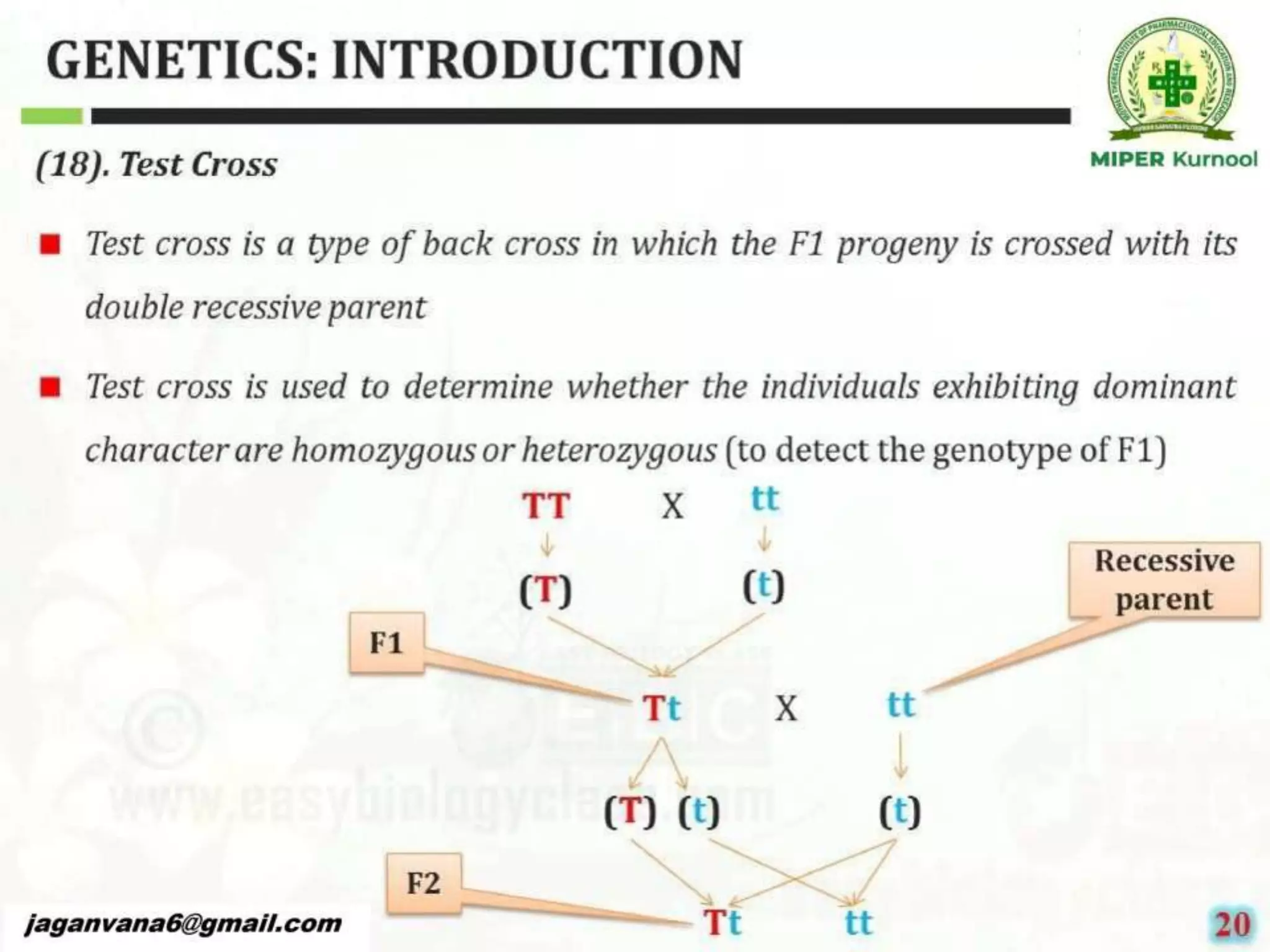 Introduction genetics | PPTX