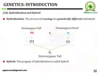 Introduction genetics | PPT