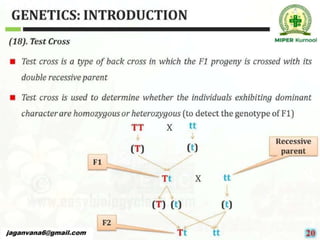 Introduction genetics | PPT