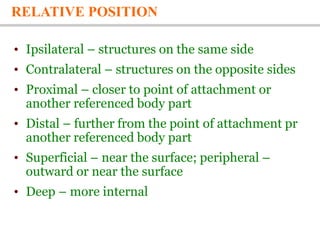 Introduction hap (part -1 ) | PPT
