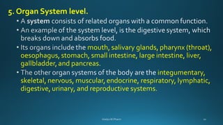 Introduction human body | PPT