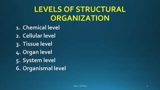 Introduction human body | PPT