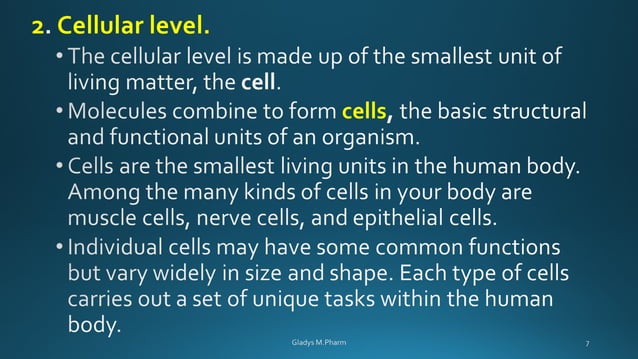 Introduction human body | PPT