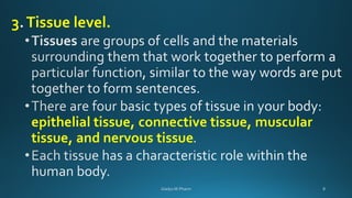 Introduction human body | PPT