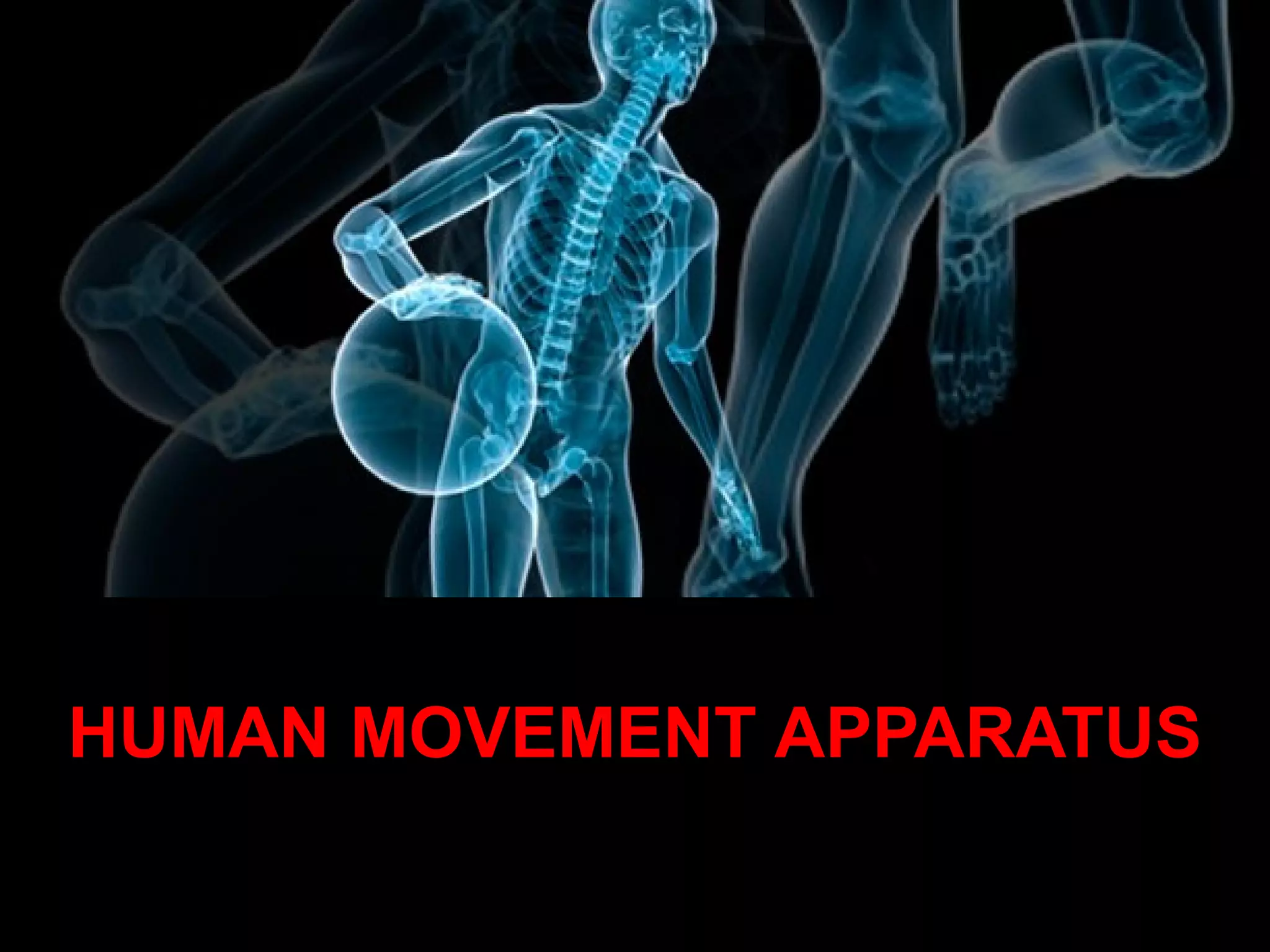 Introduction human movement apparatus-Dr.B.B.Gosai | PDF