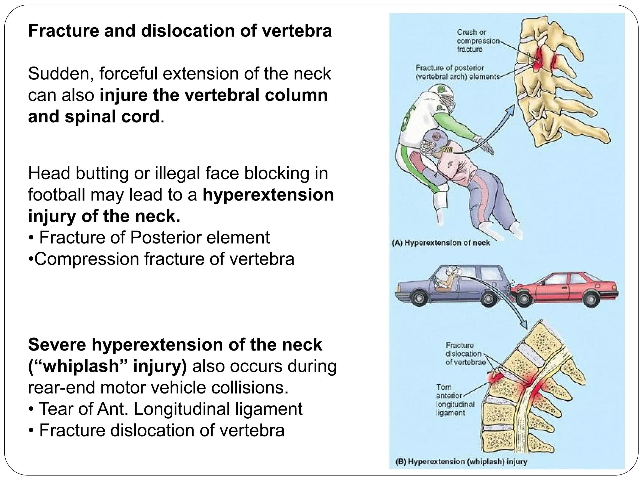 Introduction human movement apparatus-Dr.B.B.Gosai | PDF