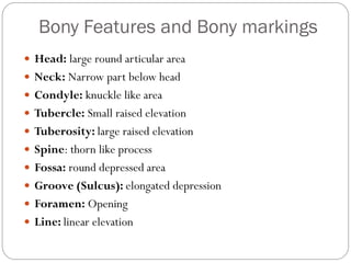 Introduction human movement apparatus-Dr.B.B.Gosai | PPT