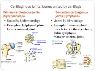 Introduction human movement apparatus-Dr.B.B.Gosai | PPT