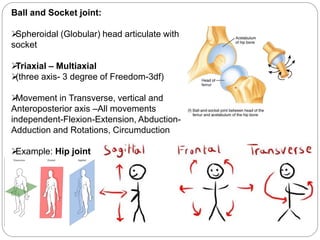 Introduction human movement apparatus-Dr.B.B.Gosai | PPT