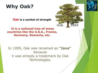 Introduction of java | PPSX