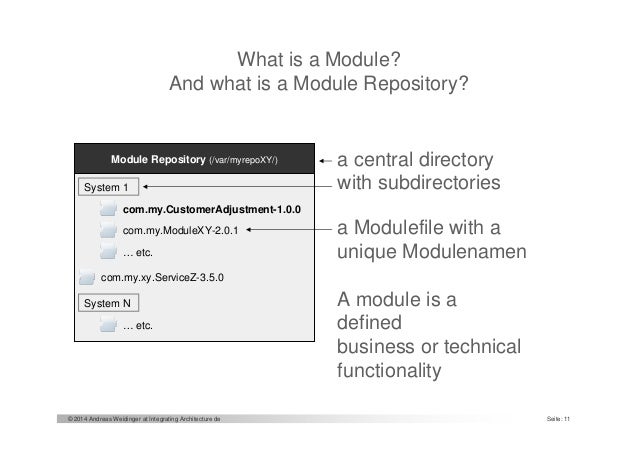 Modular Enterprise Systems An Introduction