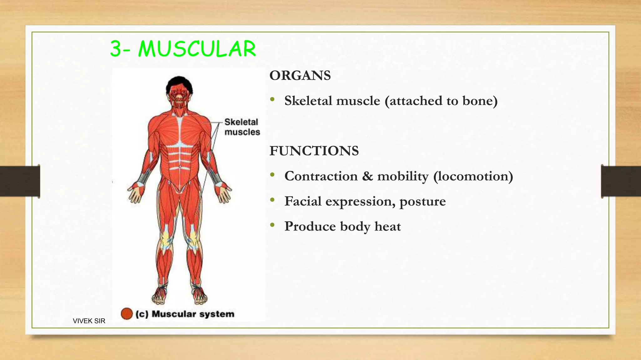 introduction to anatomy and physiology 1st sem bsc nursing | PPT