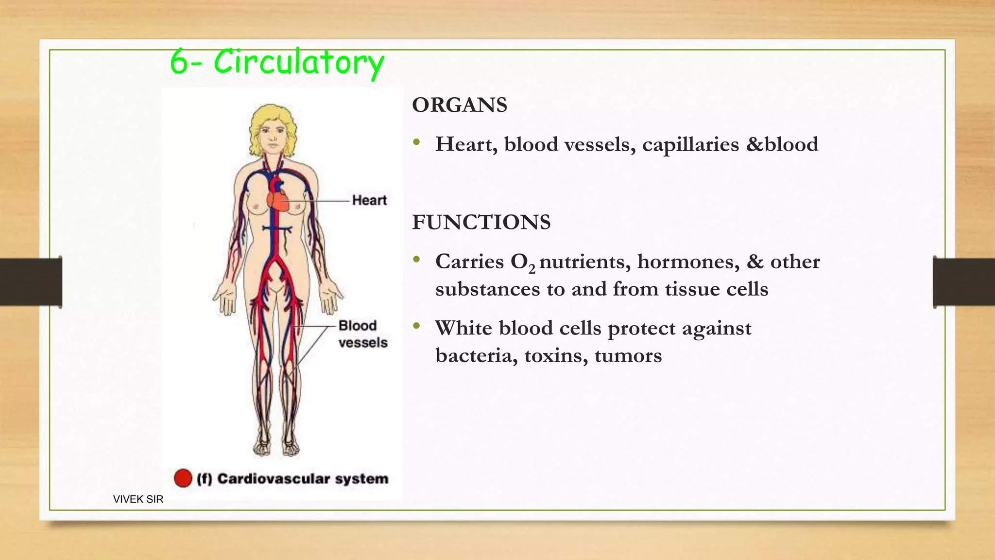 introduction to anatomy and physiology 1st sem bsc nursing | PPT