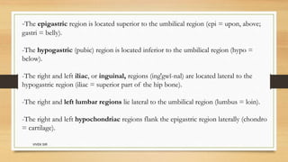introduction to anatomy and physiology 1st sem bsc nursing | PPT