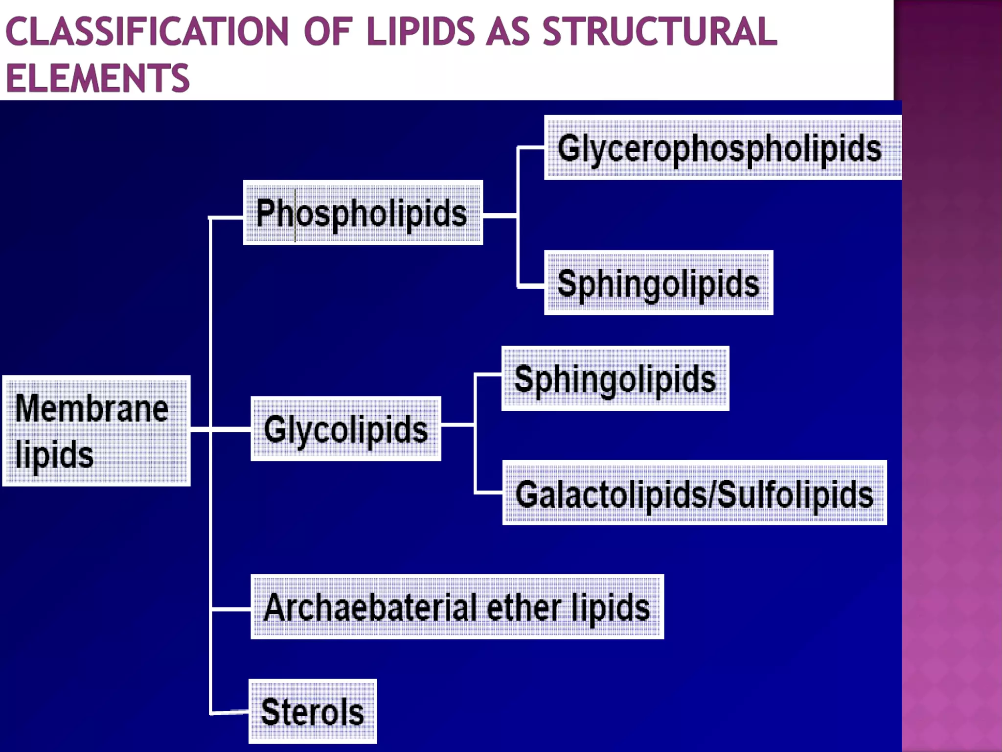 Introduction of lipids | PPT