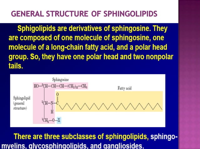 Introduction of lipids | PPT | Chemistry | Science