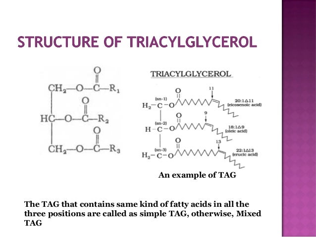 Introduction of lipids