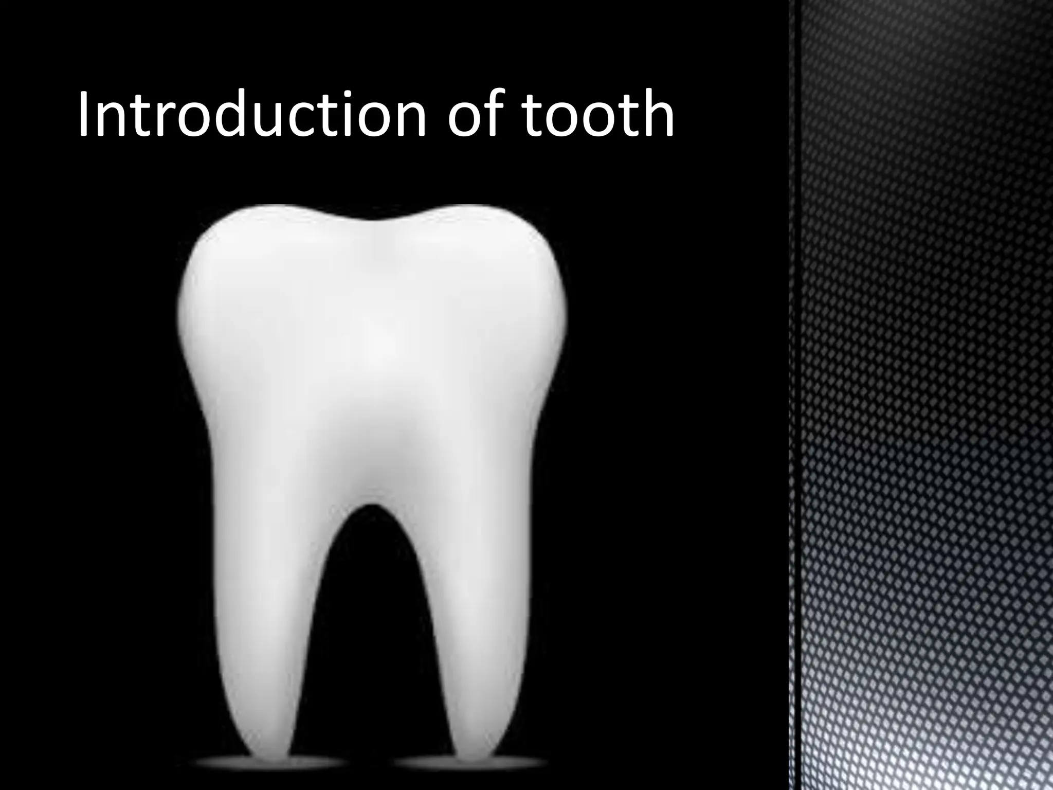 Introduction-of-Tooth.pptx