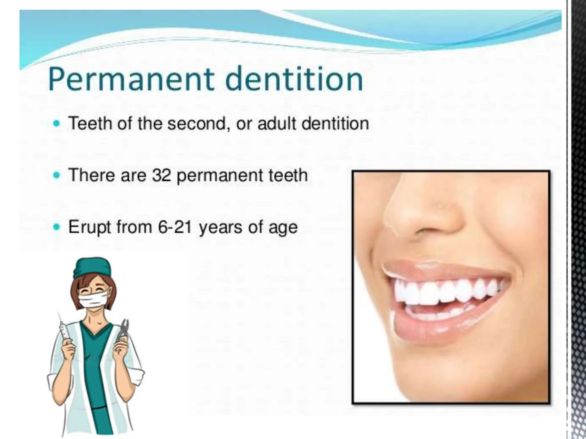 Introduction-of-Tooth.pptx | Free Download