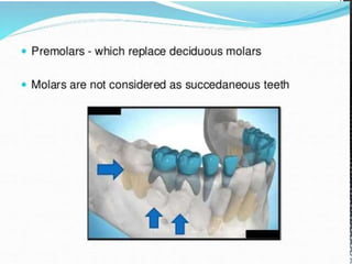 Introduction-of-Tooth.pptx
