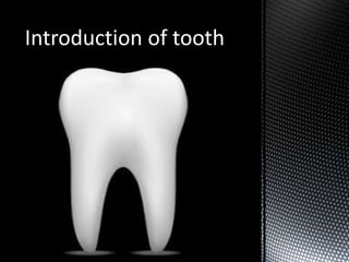 Introduction-of-Tooth.pptx
