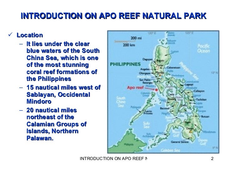 Introduction On Apo Reef