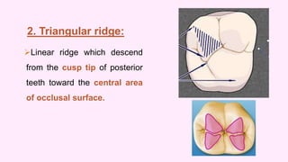 Introduction part 2 | PPTX