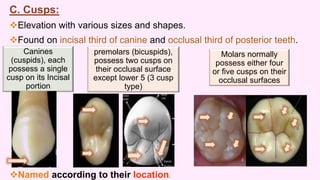 Introduction part 2 | PPTX
