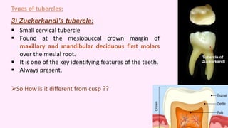 Introduction part 2 | PPT