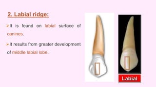 Introduction part 2 | PPT