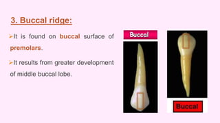 Introduction part 2 | PPT