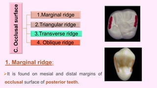 Introduction part 2 | PPT