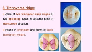 Introduction part 2 | PPT