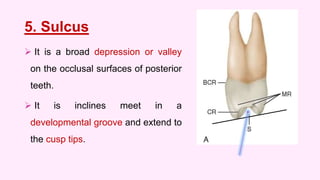 Introduction part 2 | PPT
