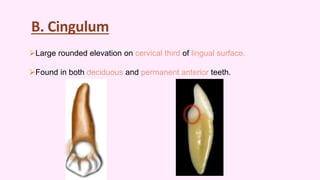 Introduction part 2 | PPT