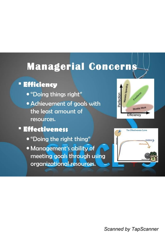 Introduction-Principles of Management | PDF