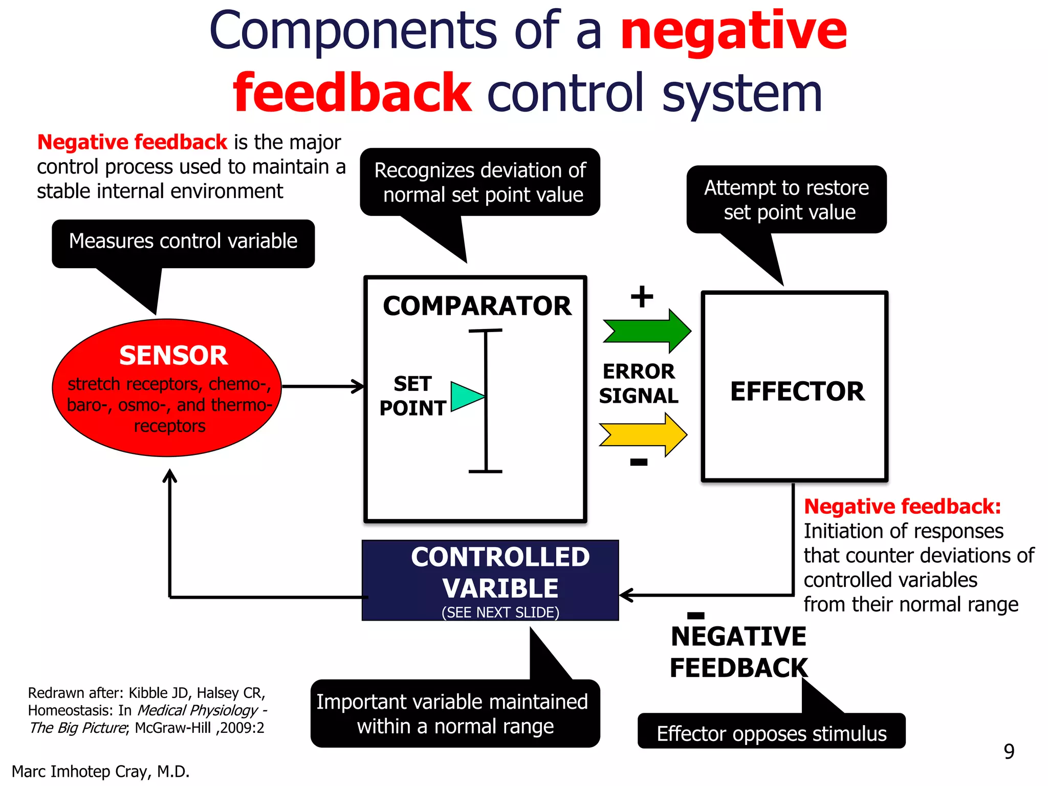 Autonomic Nervous System Physiology and Pharmacology_Overview| Review ...