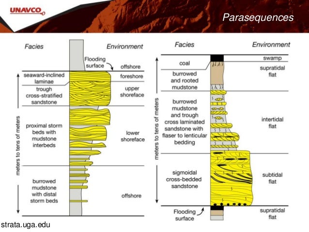 Introduction to Sequence Stratigraphy Powerpoint