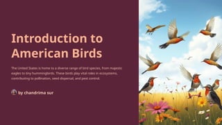 introduction about american birds *lifestyle | PPT