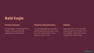 introduction about american birds *lifestyle | PPT