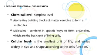 INTRODUCTION-TO-ANATOMY INTRODUCTION TO ANATOMY | PPTX