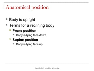 INTRODUCTION-TO-ANATOMY-AND-PHYSIOLOGY.ppt