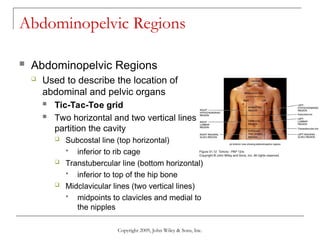 INTRODUCTION-TO-ANATOMY-AND-PHYSIOLOGY.ppt