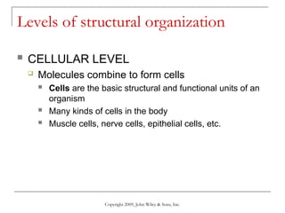 INTRODUCTION-TO-ANATOMY-AND-PHYSIOLOGY.ppt