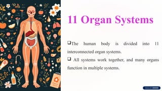 Introduction-to-Anatomy-and-Physiology.pptx