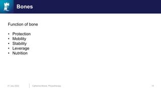 introduction-to-anatomy-powerpoint-presentation.pptx